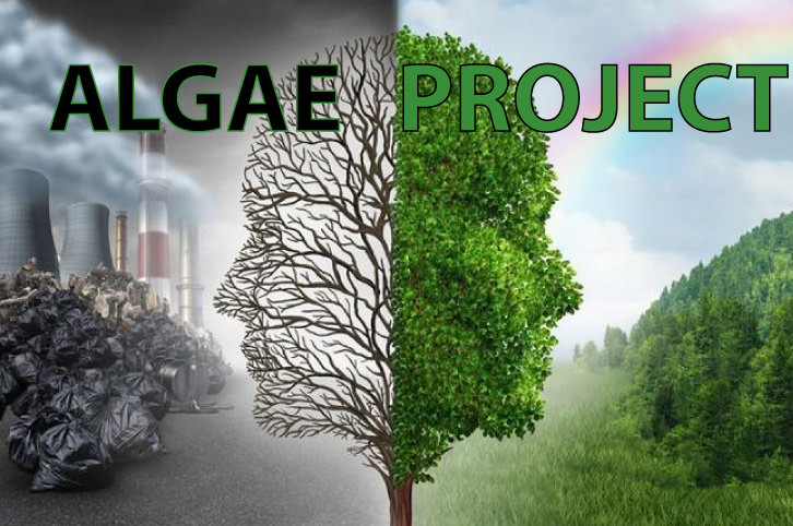 ALGAE PROJECT - DVK Consultants